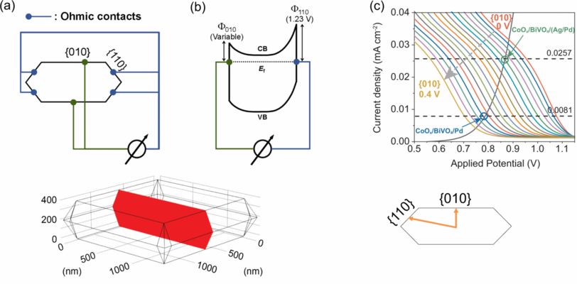 Publications – Lightcatalysis